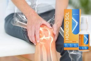 Hondro Sol Spray: Előnyök, Összetétel és Vásárlás, Felhasználói ...